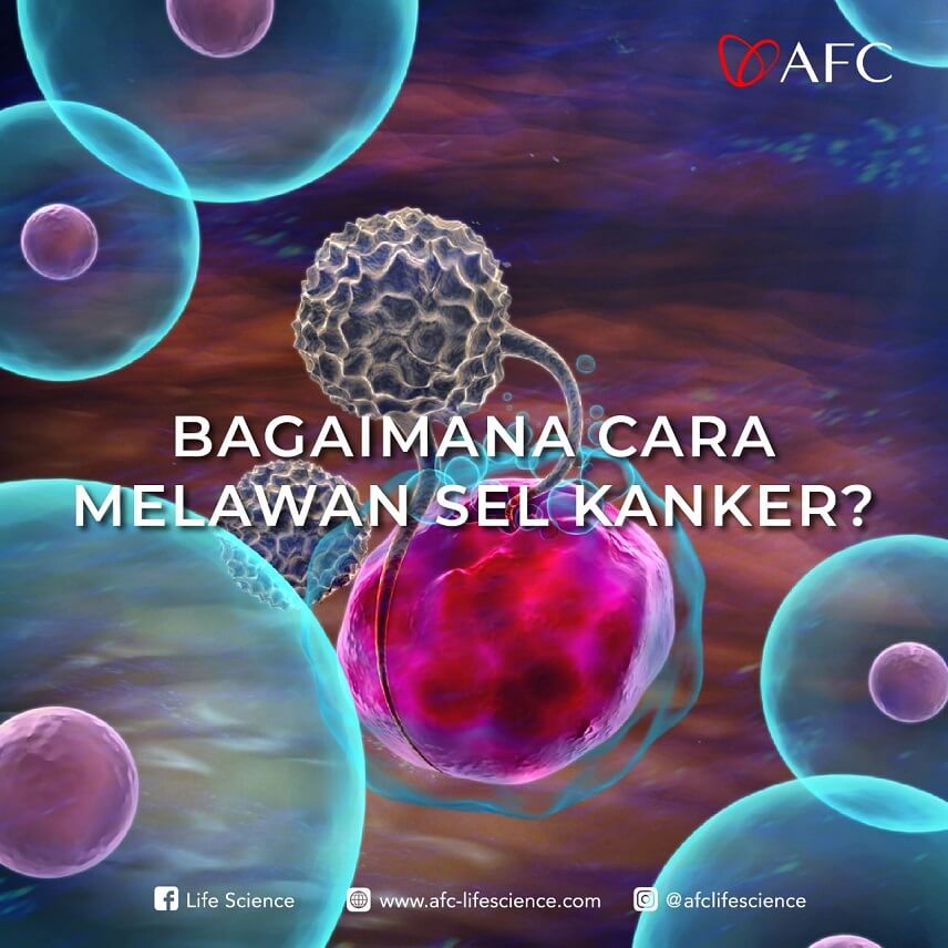 Bagaimana Melawan Sel Kanker