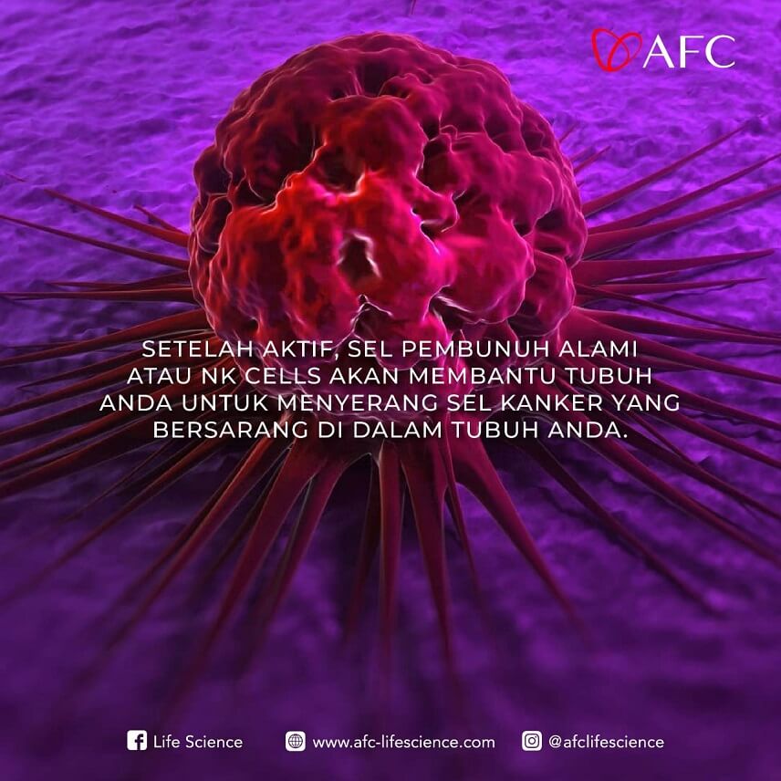 Bagaimana Melawan Sel Kanker