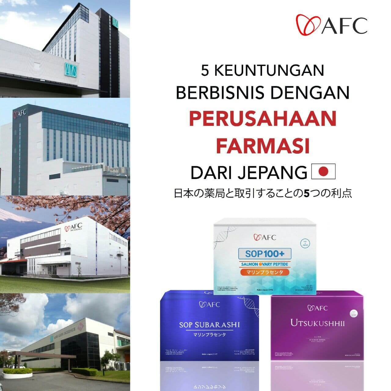 Bisnis Farmasi Dengan AFC Life Science Jepang | AFC Indo